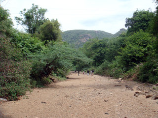 Venture Pal Advs: Amirthi Forest, Vellore